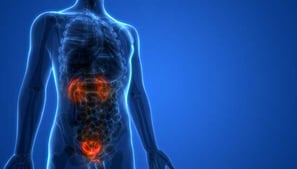 The Difference Between Urodynamics and Cystometrogram (CMG)